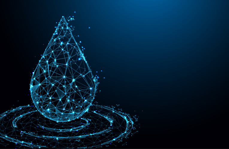 Maximizing Utility Efficiency with Solid-State Meters - EMEA - Itron